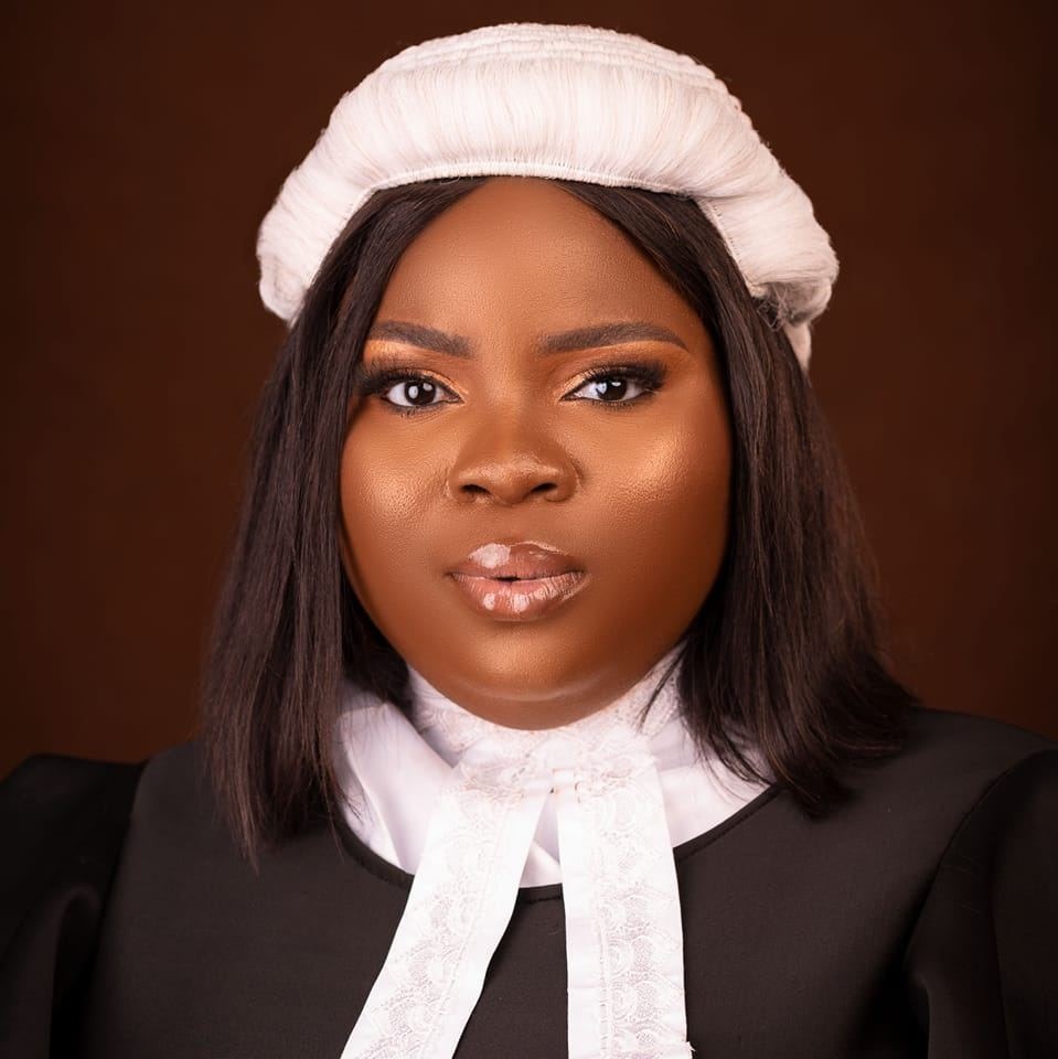 New Appointment: Barrister Alice Iwara to Lead Women and Children ...